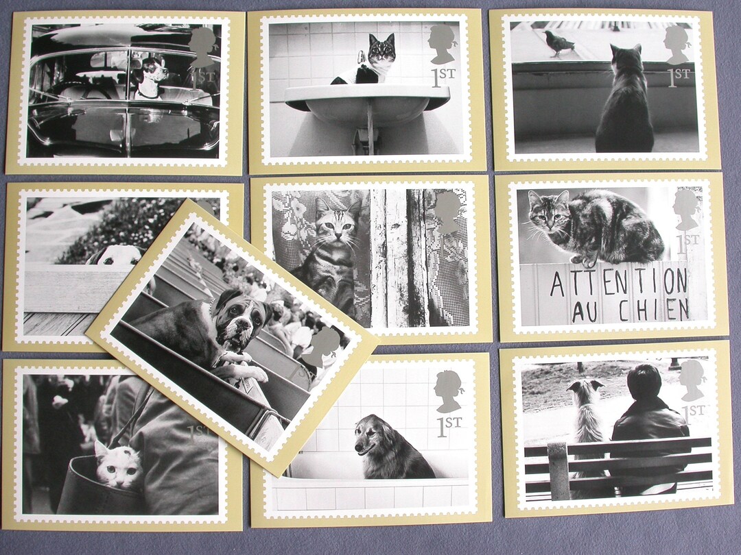 22 Animal Themed Postcards 4 Sets, 10 X Cats and Dogs, 4 RSPCA, 4 ...