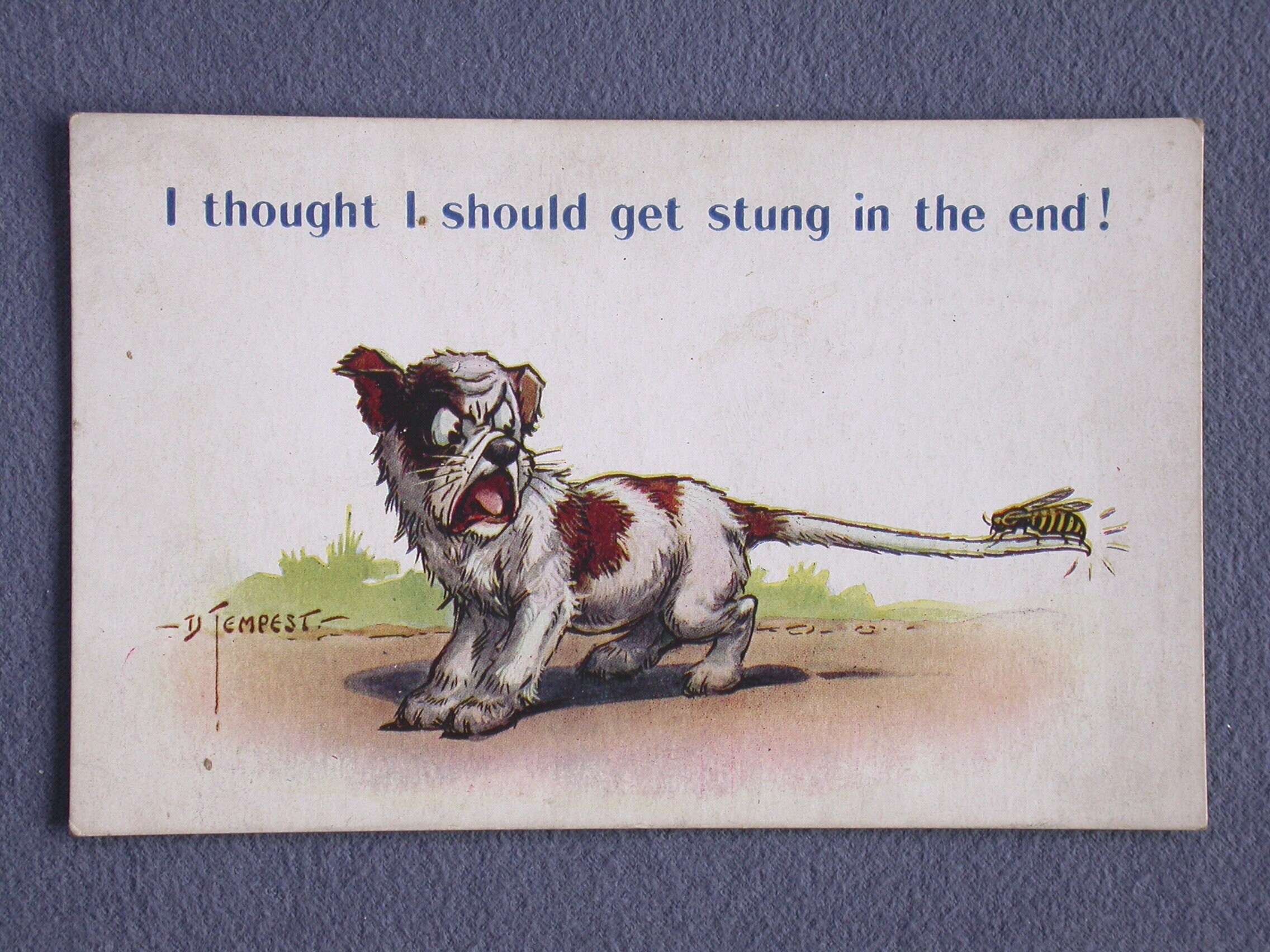 Five Vintage Comic Postcards From the 1920-30s - Etsy UK