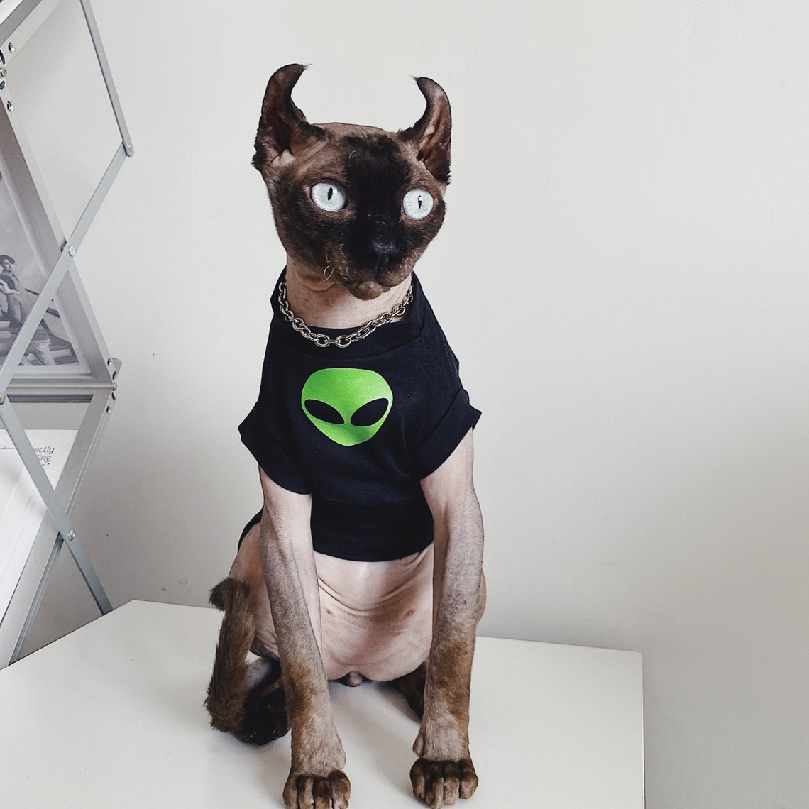 Alien Print Cotton T-shirt for Sphynx Cat Hairless Cat Black | Etsy
