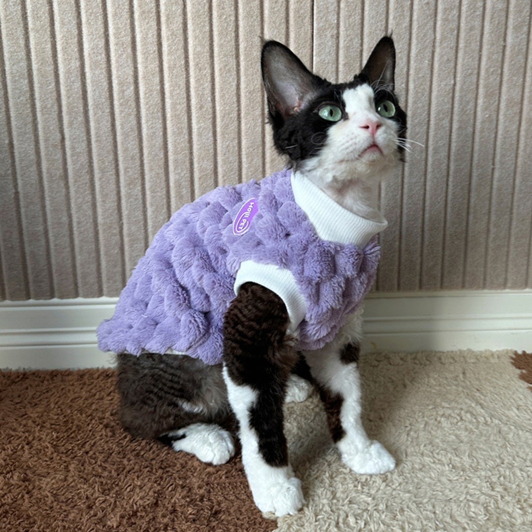 Velvet Warm Cat Vest, Hairless Cat Clothing, Devon Cat Shirt, Winter ...