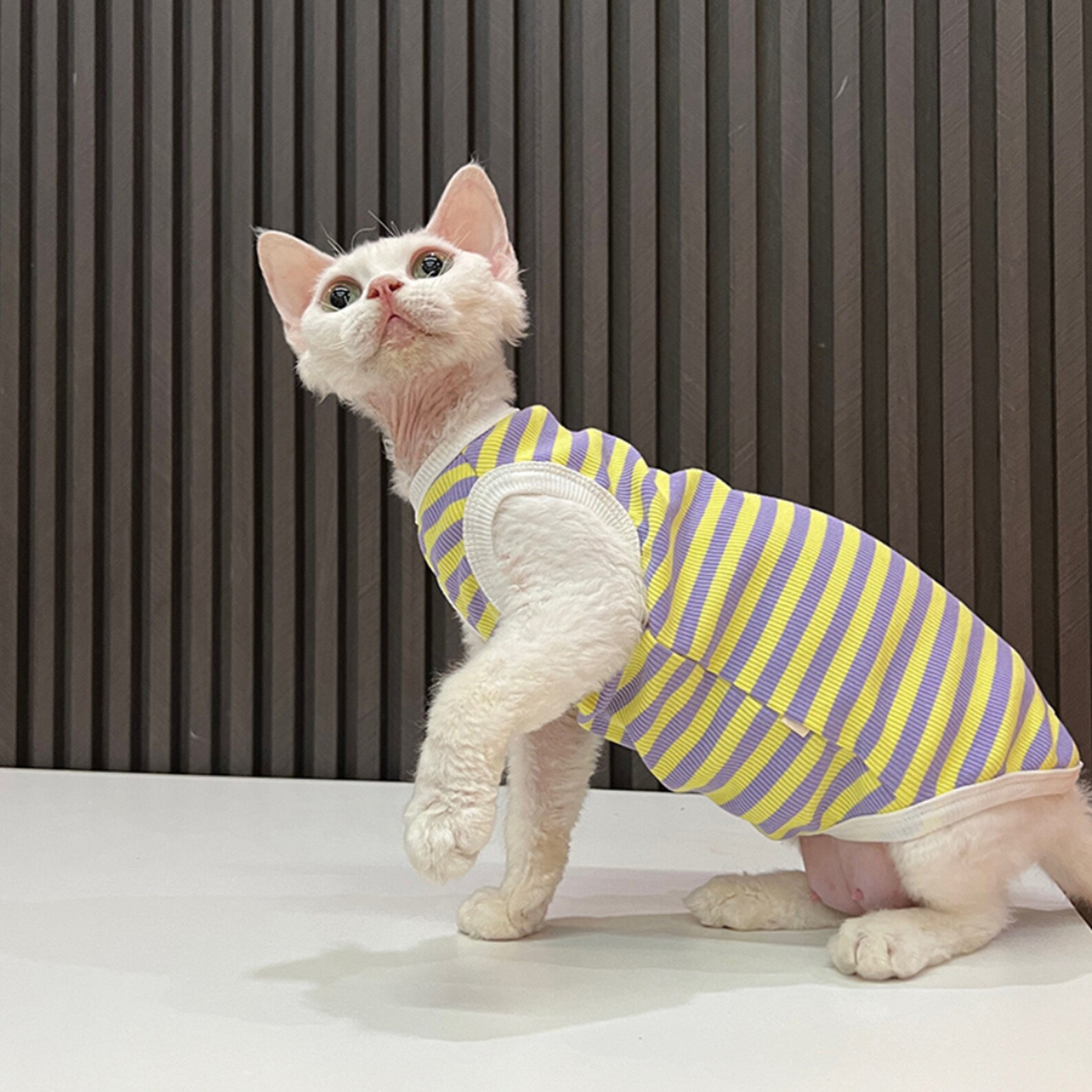 Two Styles Contrast Color Cat Vest Strip Pure Cotton Clothes - Etsy