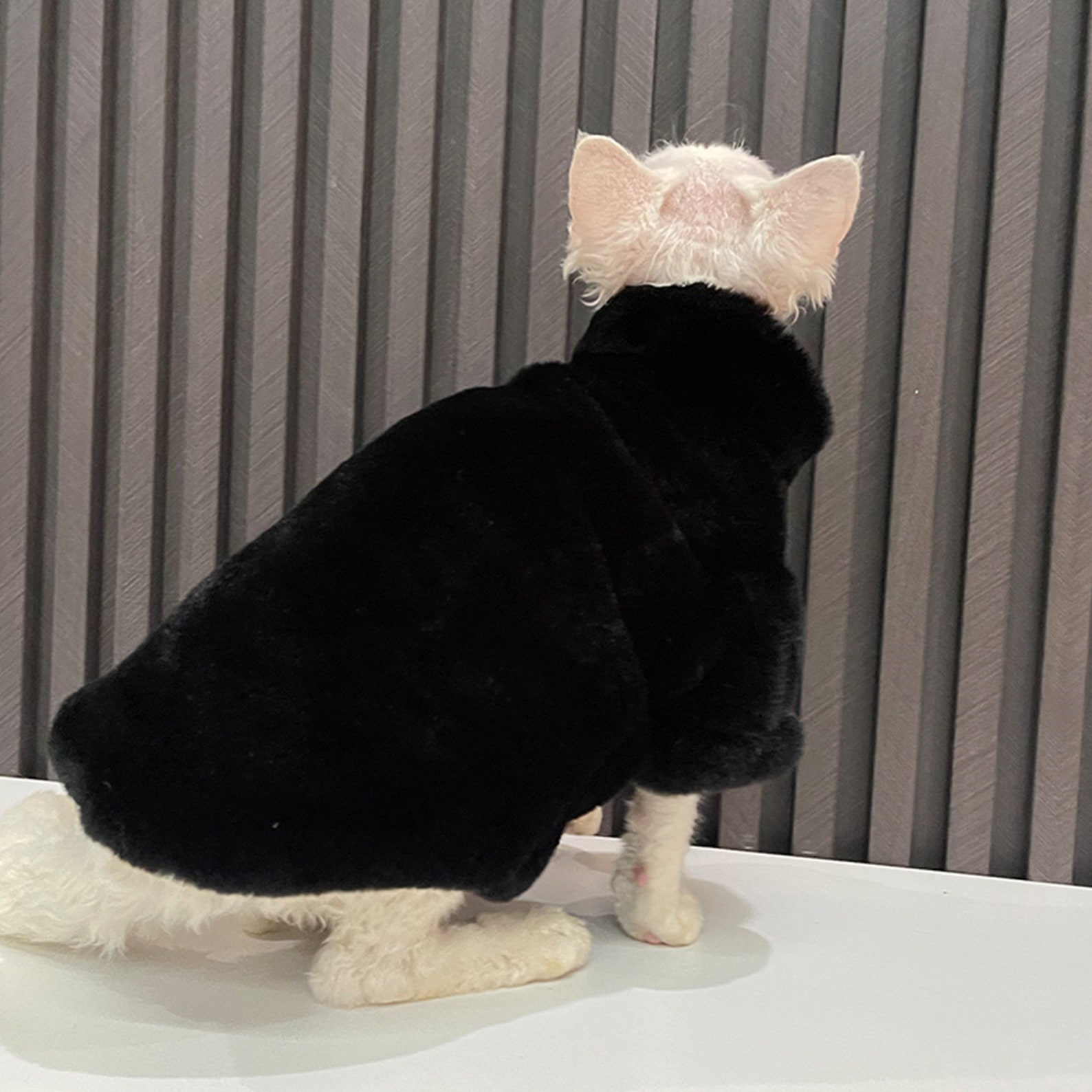 Thick Cat Sweater Cozy Cat Clothes Sphynx Cat Coat Hairless - Etsy