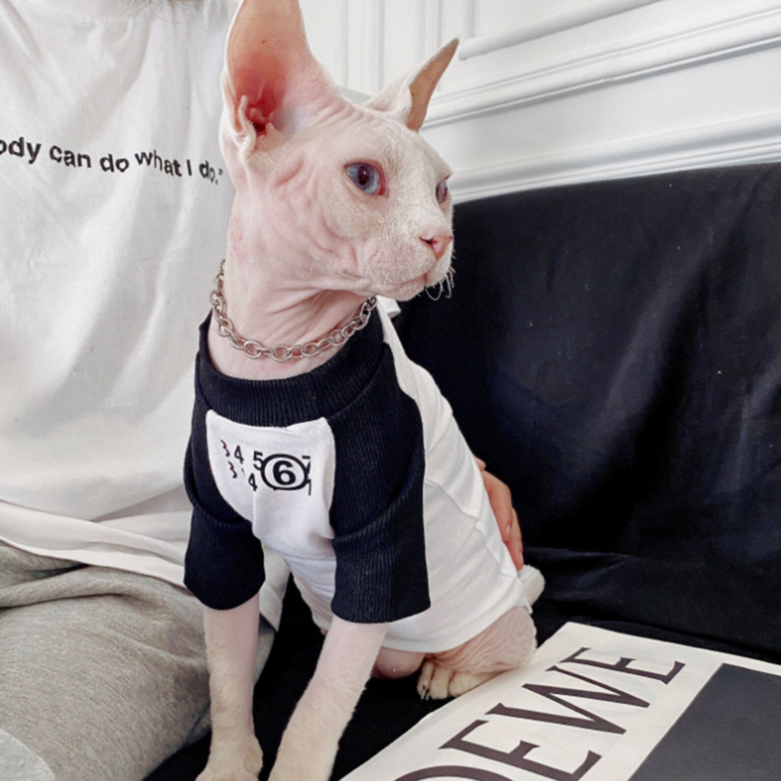 Cotton Hairless Cat Clothes Cute Sphynx Cat Clothes | Etsy