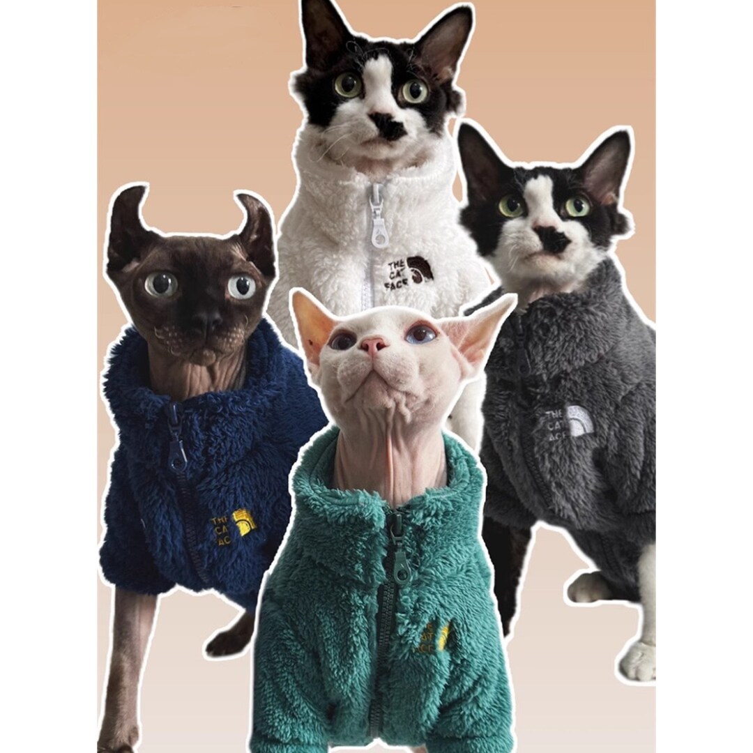 Four Colors of Furry Winter Coat for Hairless Cat Cat Winter - Etsy