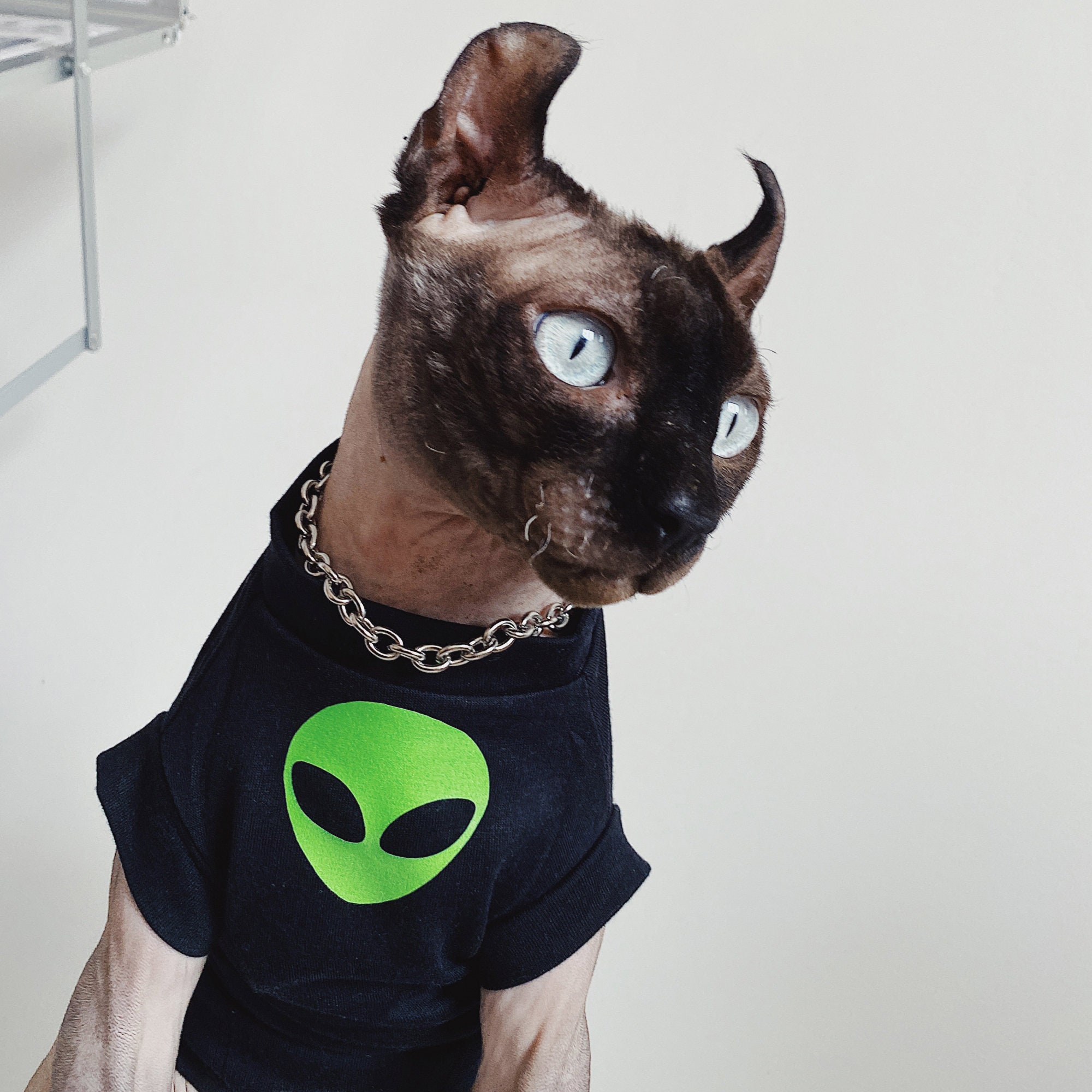Alien Print Cotton T-shirt for Sphynx Cat Hairless Cat Black | Etsy