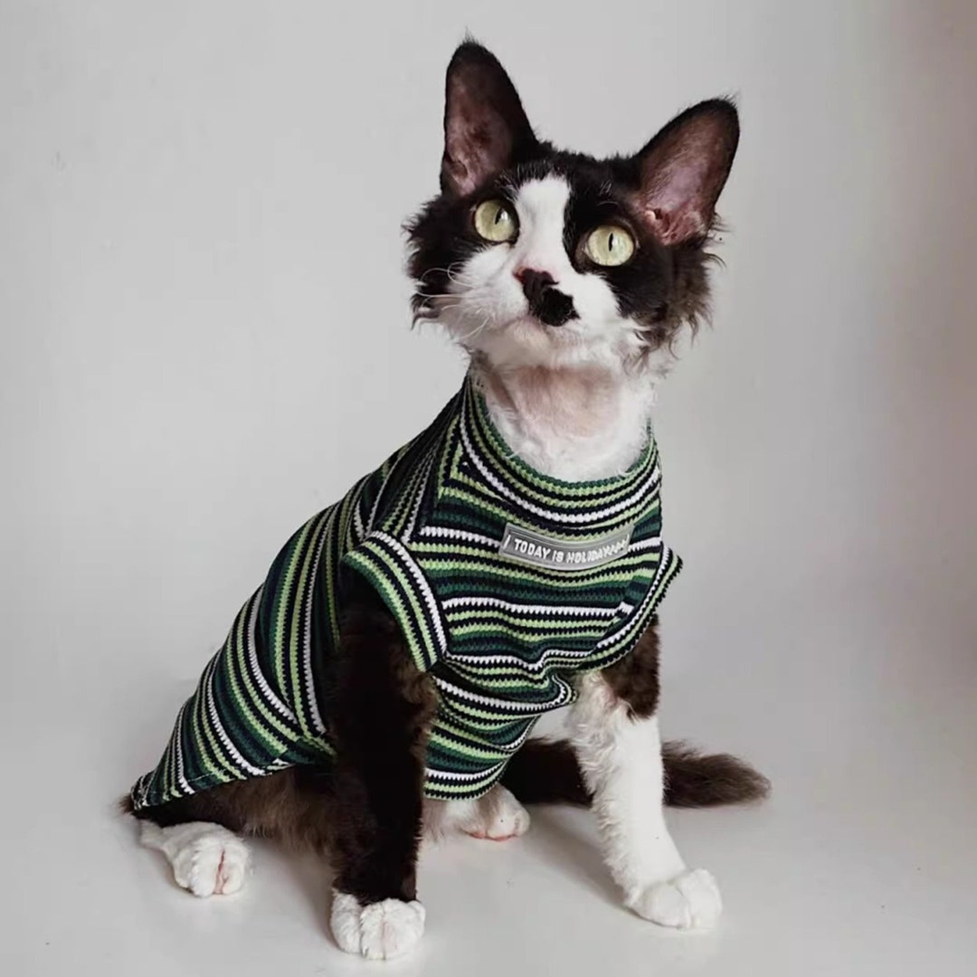 Stripe Cat T-shirt, Cat Summer Clothing, Hairless Cat Clothing, Gift ...