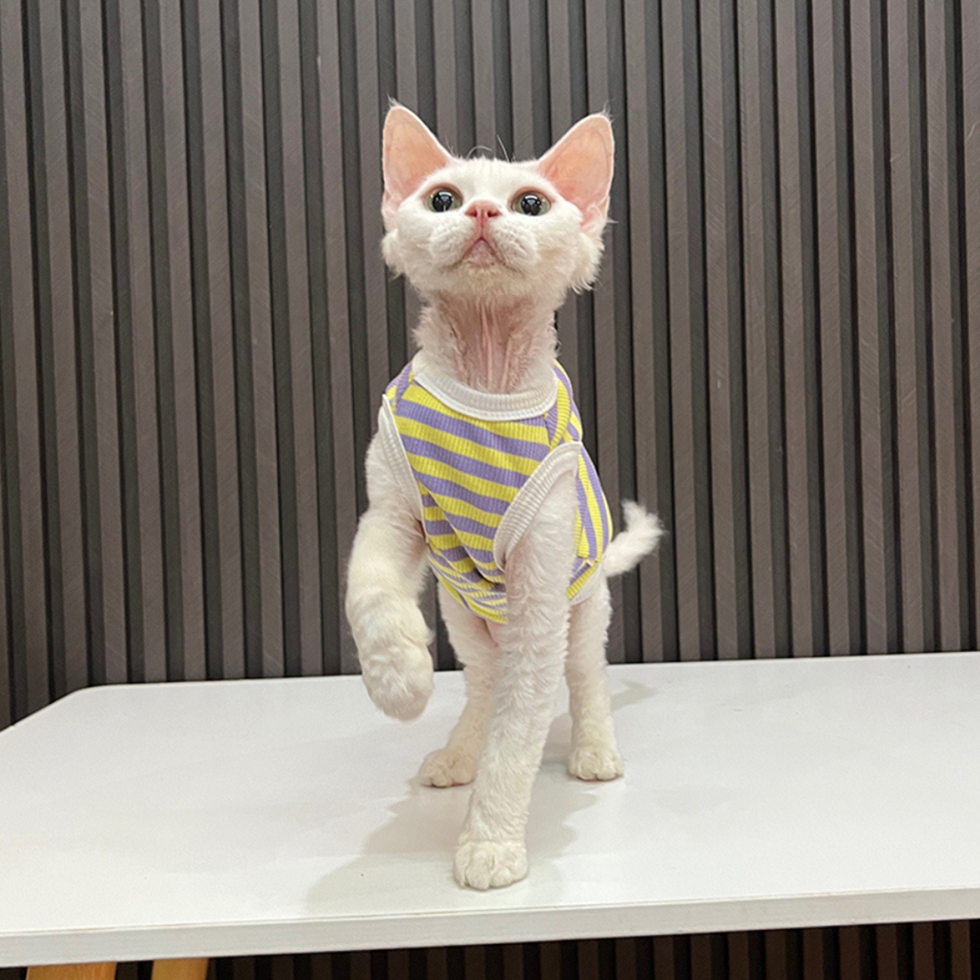 Two Styles Contrast Color Cat Vest Strip Pure Cotton Clothes - Etsy