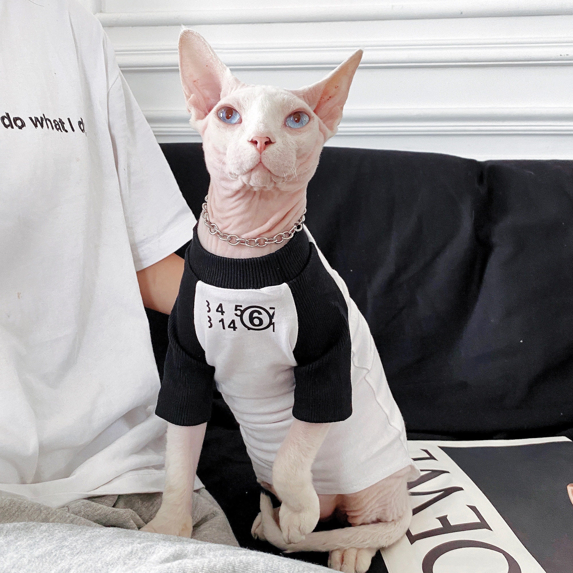 Cotton Hairless Cat Clothes Cute Sphynx Cat Clothes | Etsy