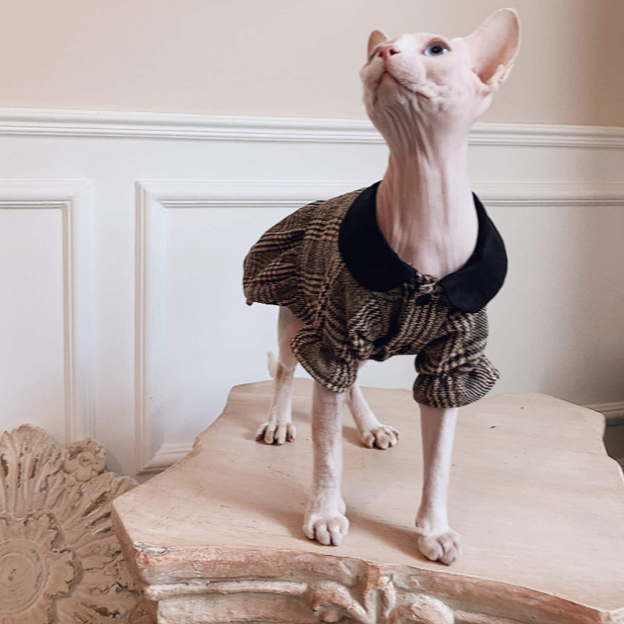 Adorable Sphynx Cat Dress Hairless Cat Clothing British Style - Etsy