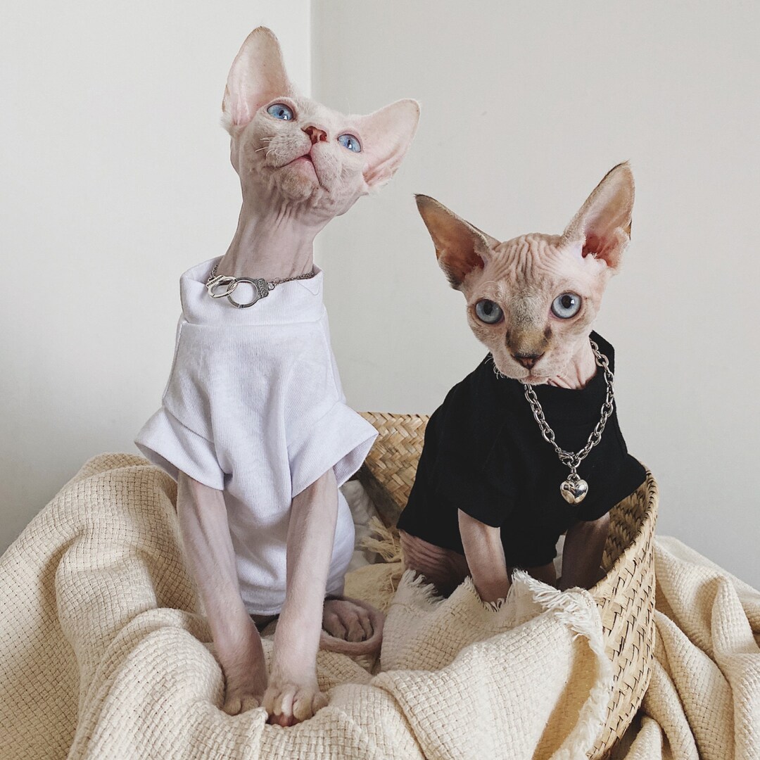 Cotton Hairless Cat Clothes Sphynx Cat Clothing Simple but Comfortable ...