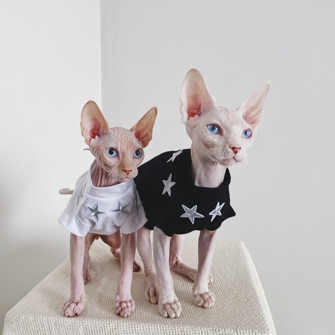 Cat Clothes Star Pattern Clothes for Hairless Cat Sphynx Cat Clothing ...