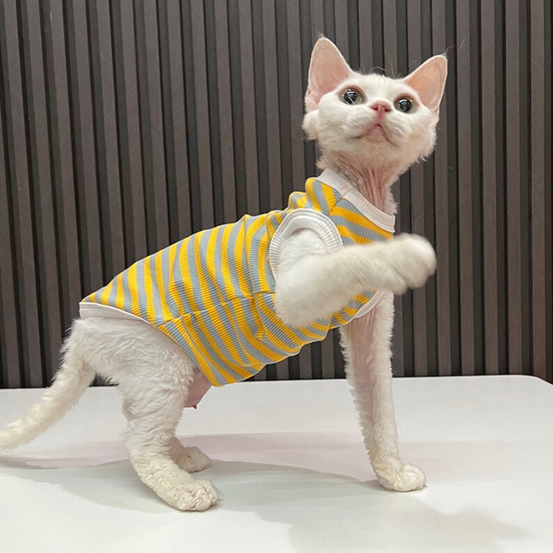 Two Styles Contrast Color Cat Vest Strip Pure Cotton Clothes - Etsy