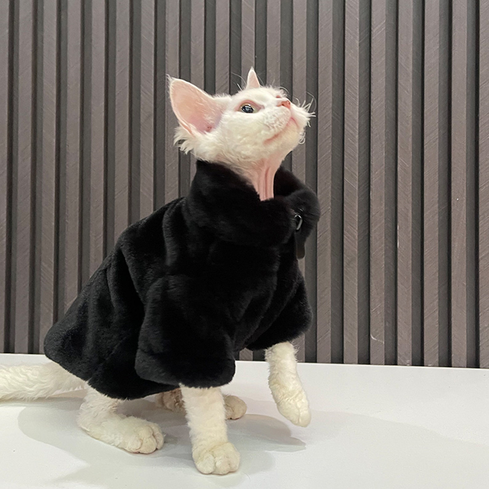 Thick Cat Sweater Cozy Cat Clothes Sphynx Cat Coat Hairless - Etsy