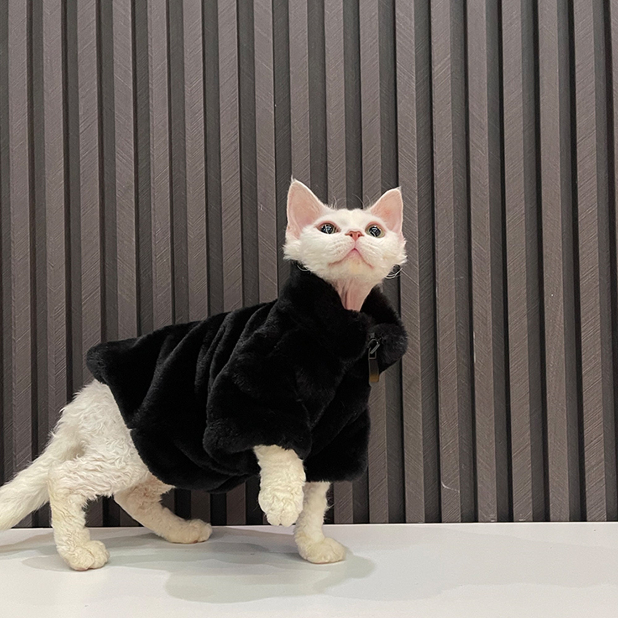 Thick Cat Sweater Cozy Cat Clothes Sphynx Cat Coat Hairless - Etsy