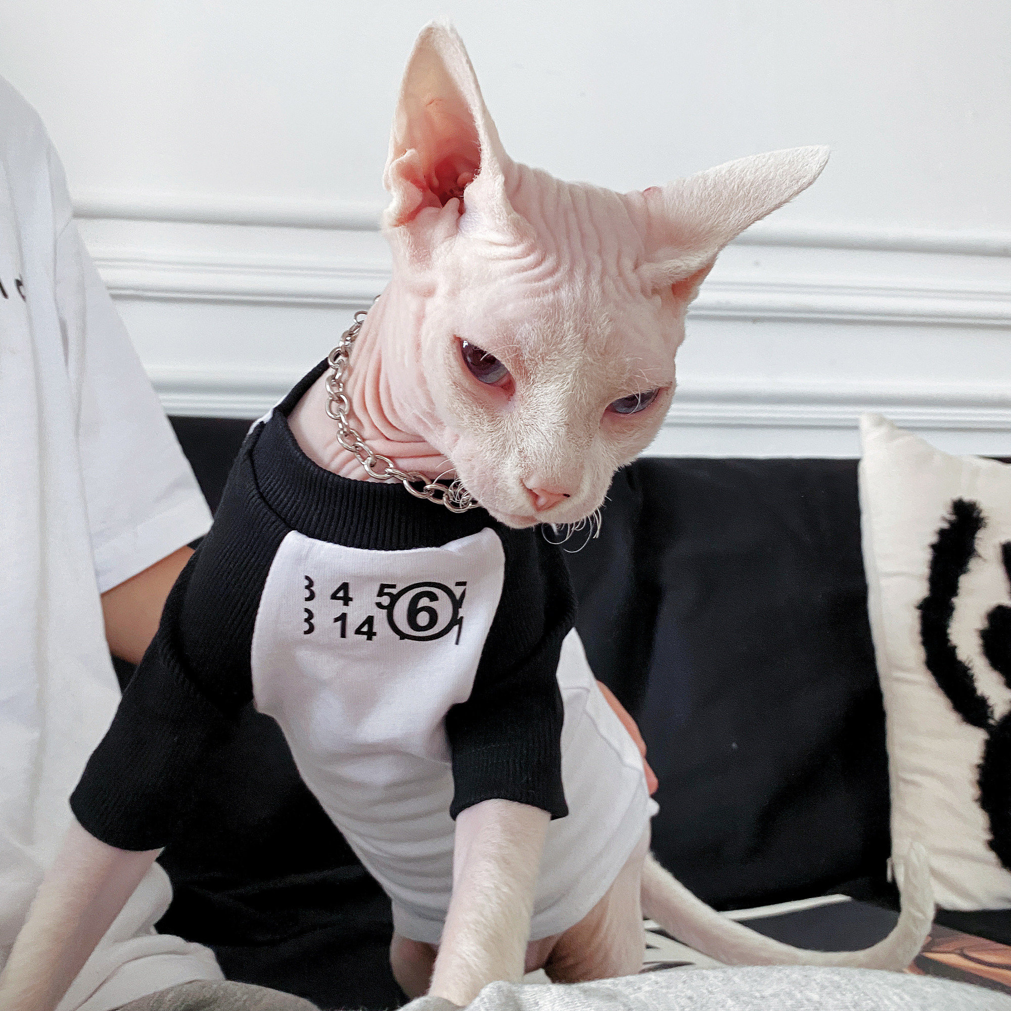 Cotton Hairless Cat Clothes Cute Sphynx Cat Clothes | Etsy