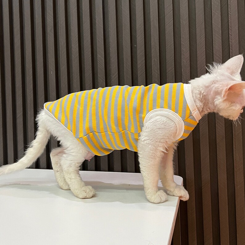 Two Styles Contrast Color Cat Vest Strip Pure Cotton Clothes - Etsy