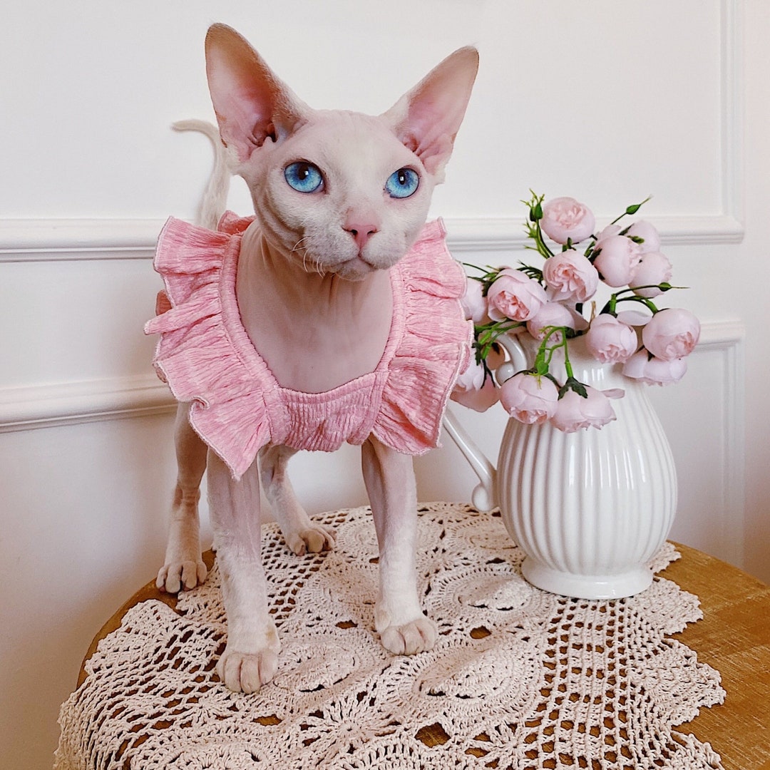 Cat Clothes Cat Dress Hairless Cat Clothes Sphynx Cat Dress Cute Pink ...