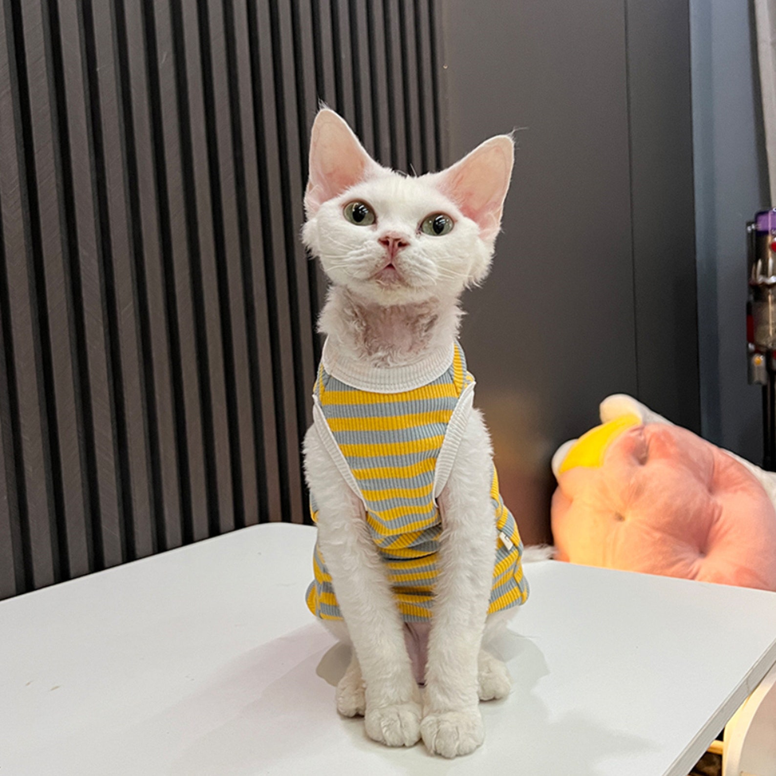 Two Styles Contrast Color Cat Vest Strip Pure Cotton Clothes - Etsy