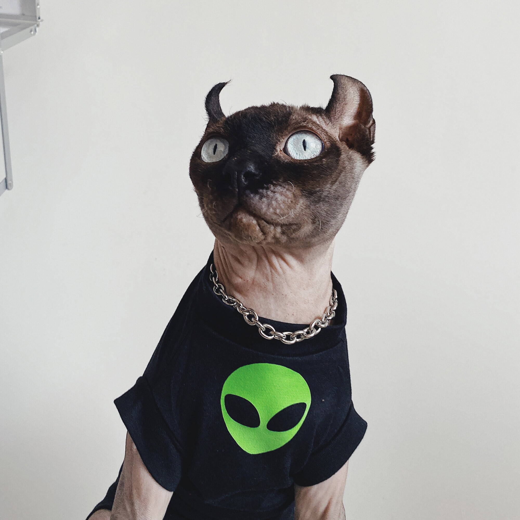 Alien Print Cotton T-shirt for Sphynx Cat Hairless Cat Black | Etsy