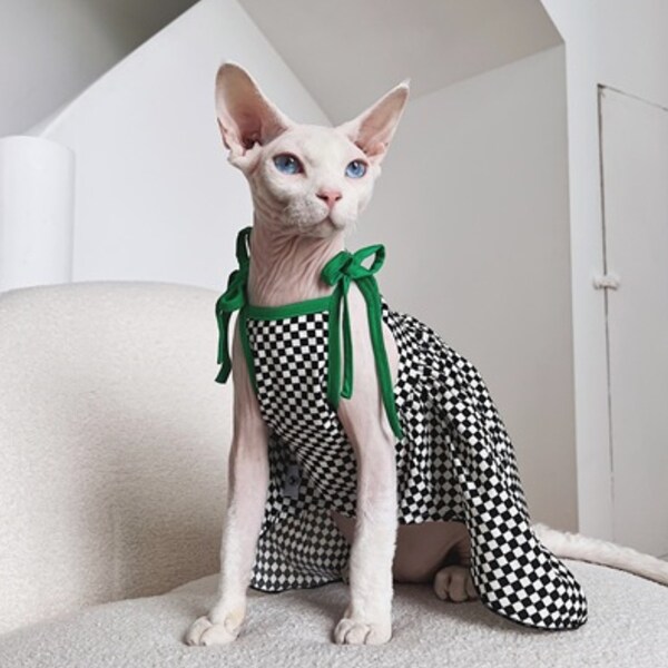 Checkerboard Cat - Etsy