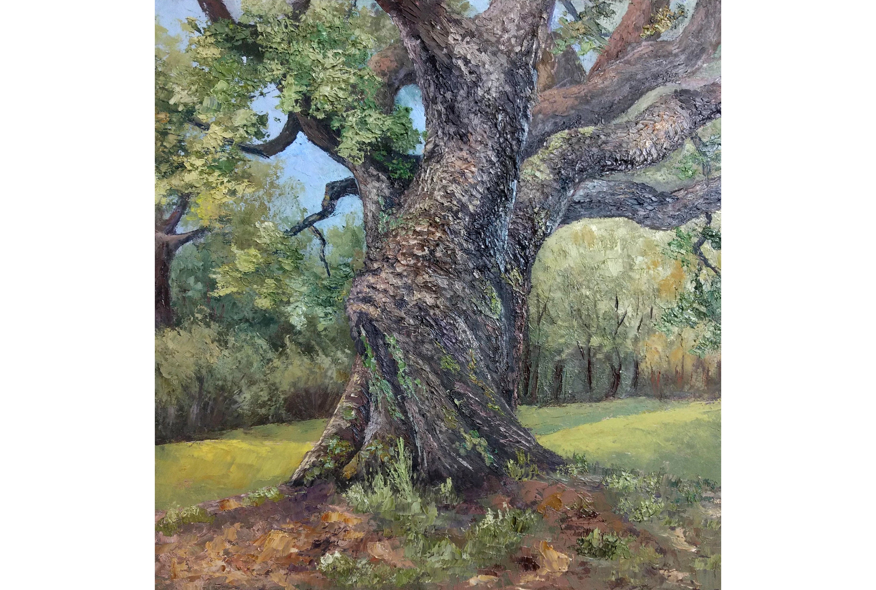 Oak Tree Painting Original Custom Oil Painting From Photo Landscape ...