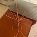 Wire Bugs - Etsy