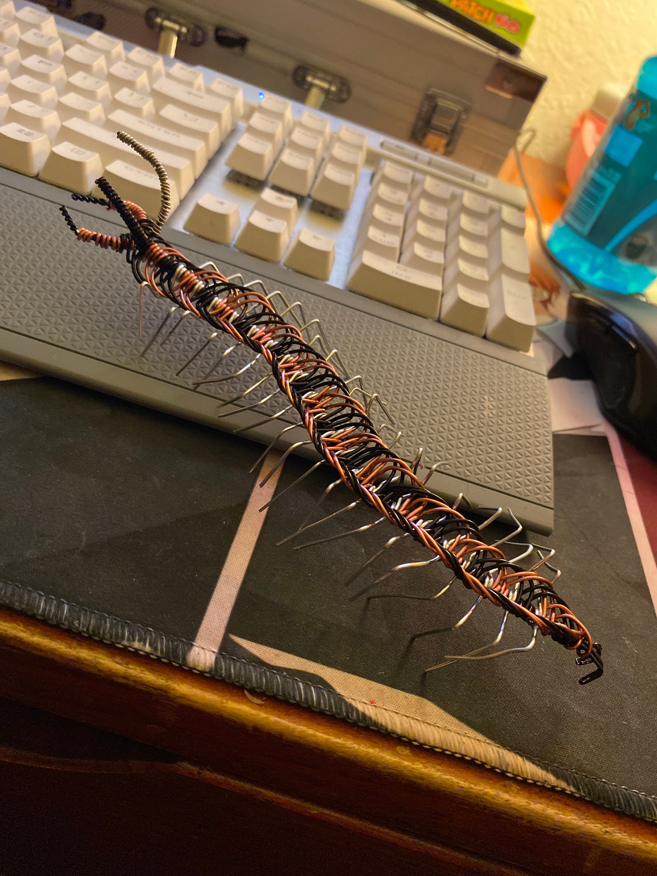 Wire Bugs - Etsy