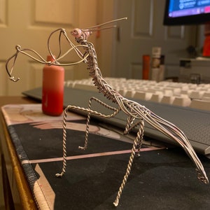 Wire Bugs - Etsy