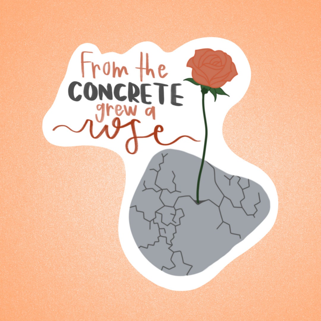 Through the Concrete Grew a Rose Sticker - Etsy