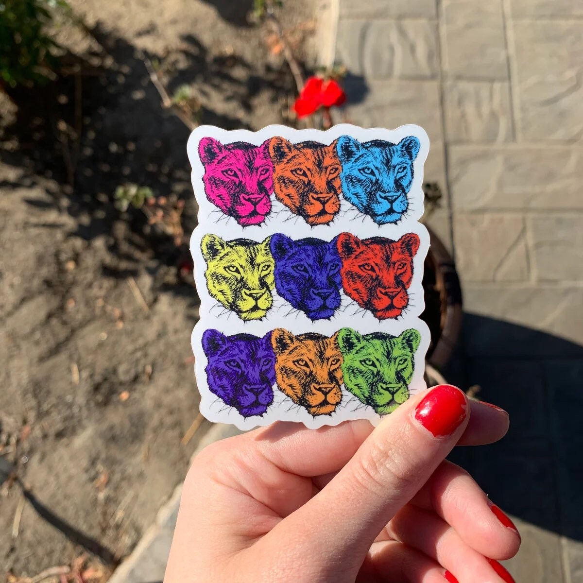 Lioness Sticker - Rainbow, Transparent Background - Etsy