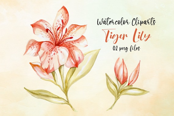 Watercolors Hand Painted Lilies