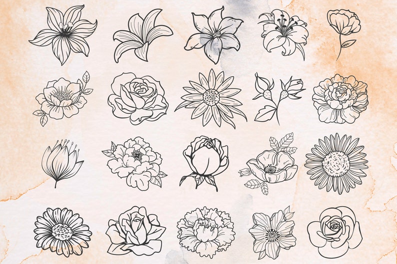 20 Hand Drawn Flowers Svg Bundle, Flower Svg, Rose Svg, Hand Drawn Svg ...