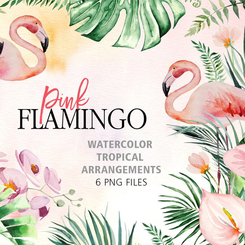 Flamingo Watercolor - Etsy