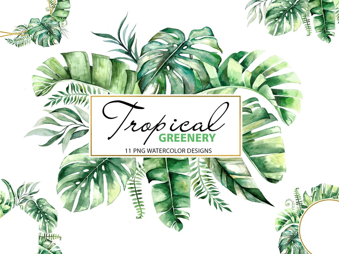 Watercolor Tropical Leaves Designs, Jungle Wreaths and Frames, Jungle ...