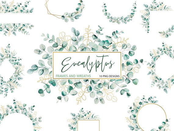 Watercolor Eucalyptus Wreaths and Frames Clipart Greenery | Etsy