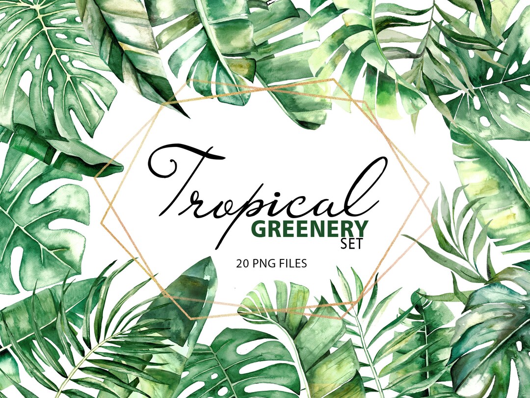 Watercolor Tropical Greenery Clipart Set, Foliage, Monstera Leaves ...