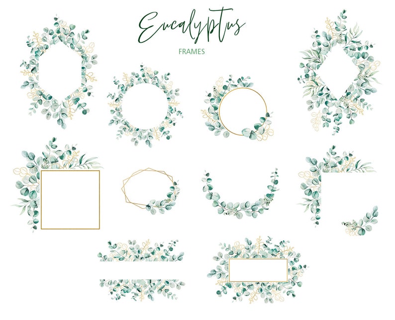 Watercolor Eucalyptus Wreaths and Frames Clipart, Greenery ...