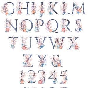 Watercolor Sea Letters, Numbers and Ampersand, Seaweeds, Seashells ...