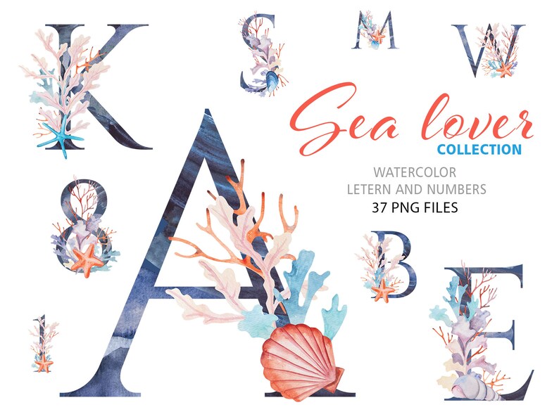 Watercolor Sea Letters, Numbers and Ampersand, Seaweeds, Seashells ...