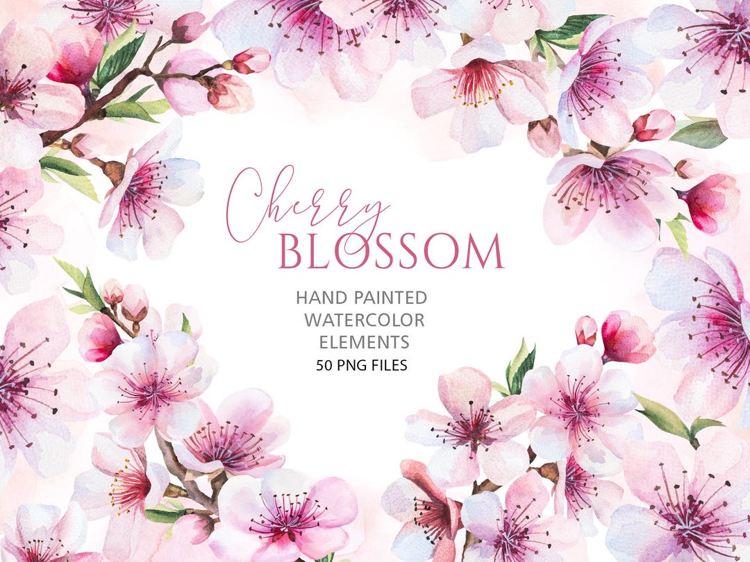 Watercolor Cherry Blossom Clipart Set, Pink Sakura Flowers and Branches ...