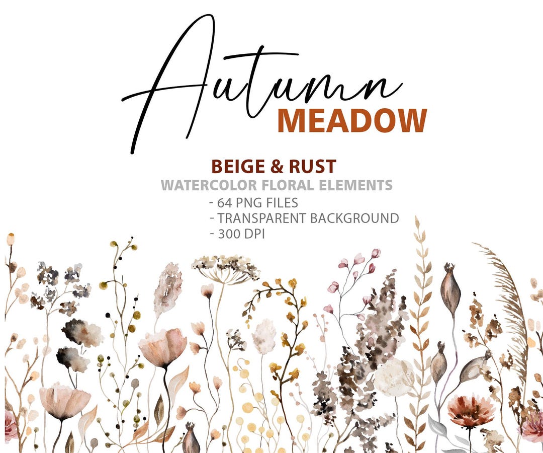 Watercolor Autumn Floral Clipart: Brown & Gold Wildflowers (64 PNG ...