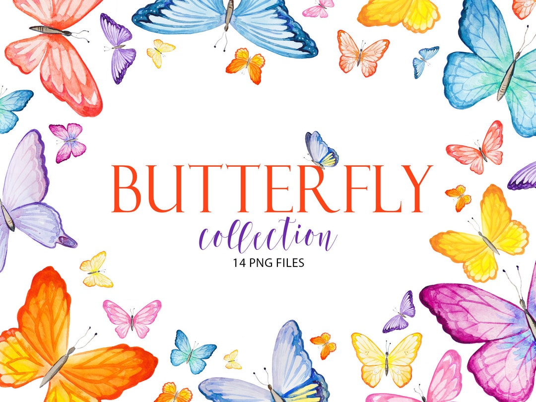 Watercolor Butterflies Clipart Set, Boho Summer Wedding Invitations, 14 ...