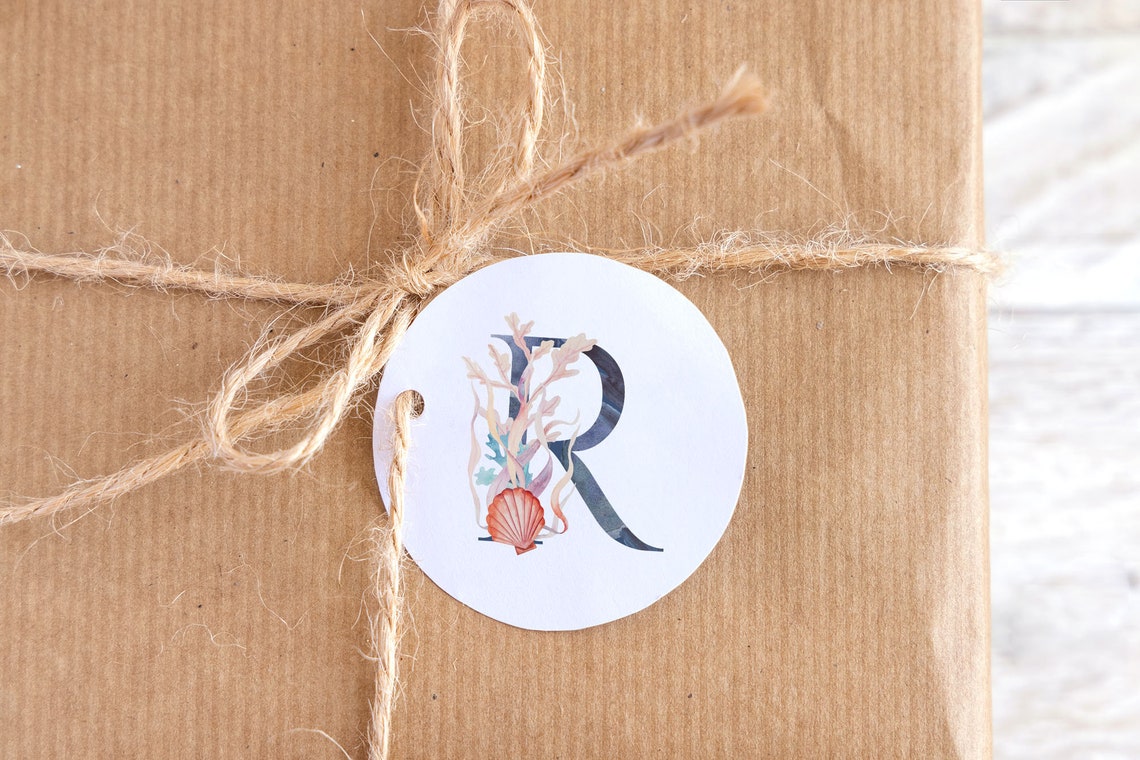 Watercolor Sea Letters, Numbers and Ampersand, Seaweeds, Seashells ...