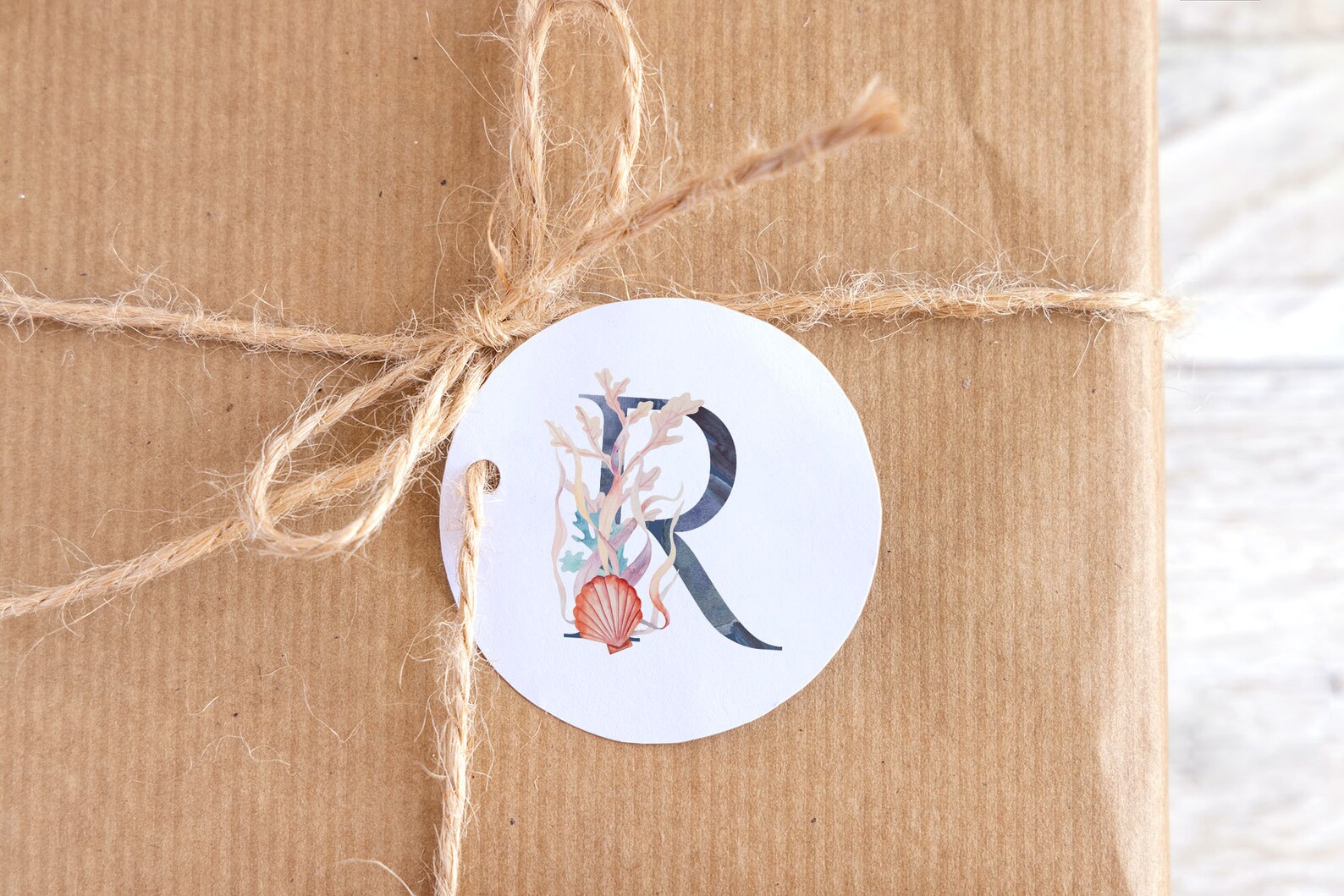 Watercolor Sea Letters, Numbers and Ampersand, Seaweeds, Seashells ...