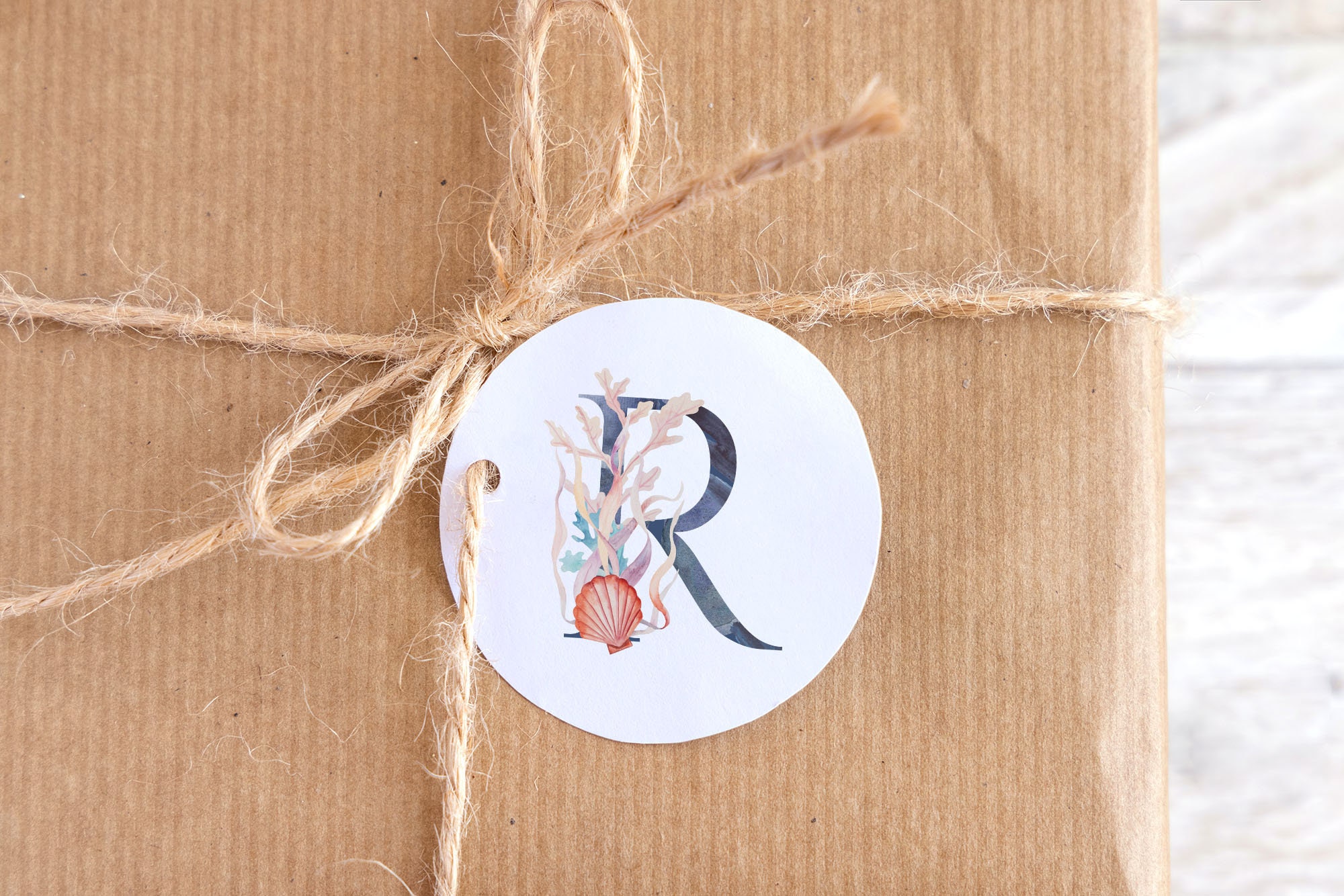 Watercolor Sea Letters, Numbers and Ampersand, Seaweeds, Seashells ...