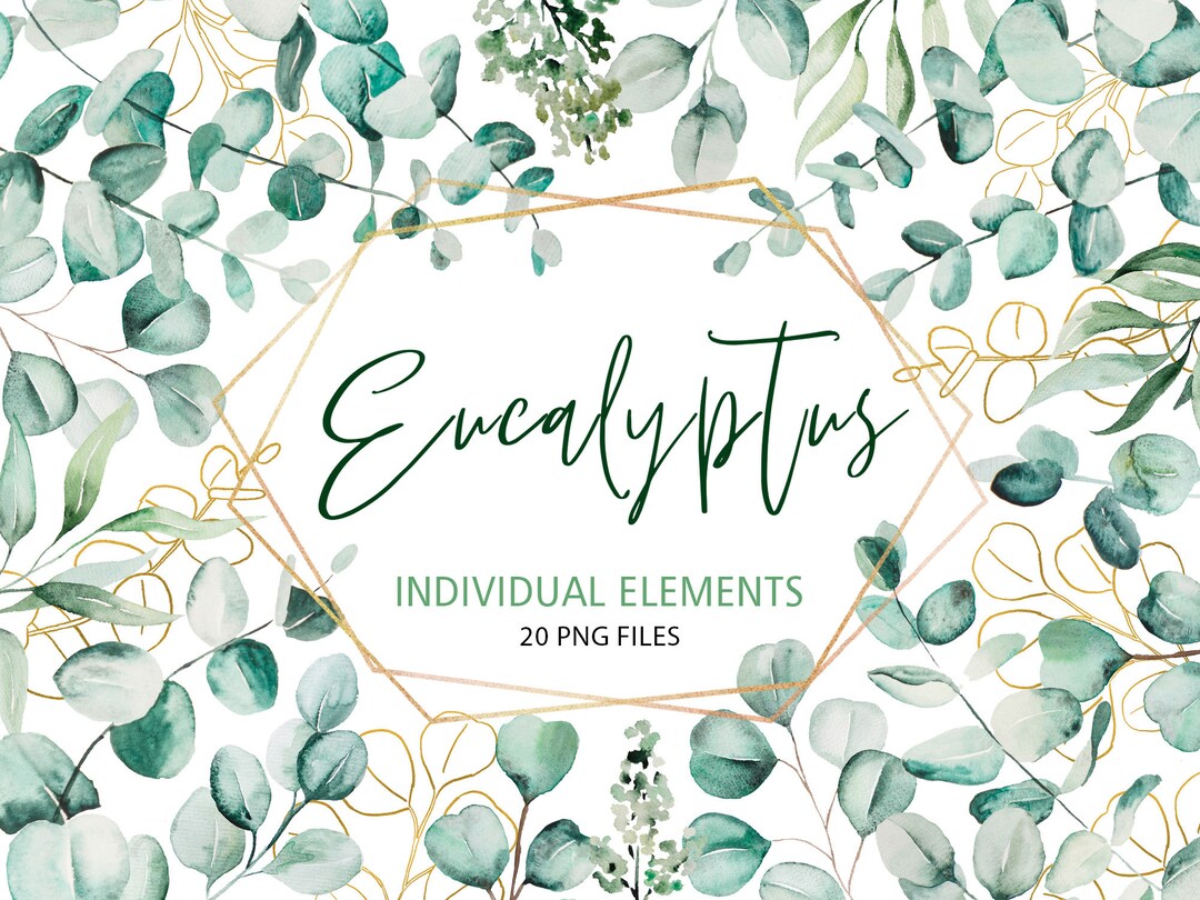 Watercolor Eucalyptus Branches and Leaves Clipart Set, Greenery and ...