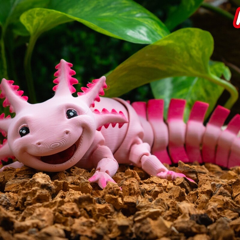 Axolotl Toys - Etsy