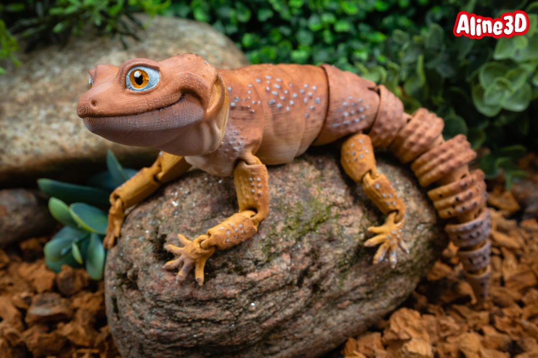 Leopard Gecko Fidget Toy - Etsy