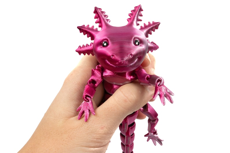 Axolotl Fidget Toy Articulated Axolotl Gift Sensory Desk Toy - Etsy Canada