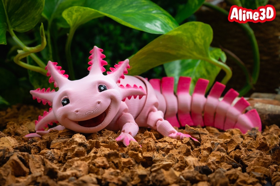 Happy Big Smile Axolotl Toy, Hand-painted Realistic Axolotl Fidget ...